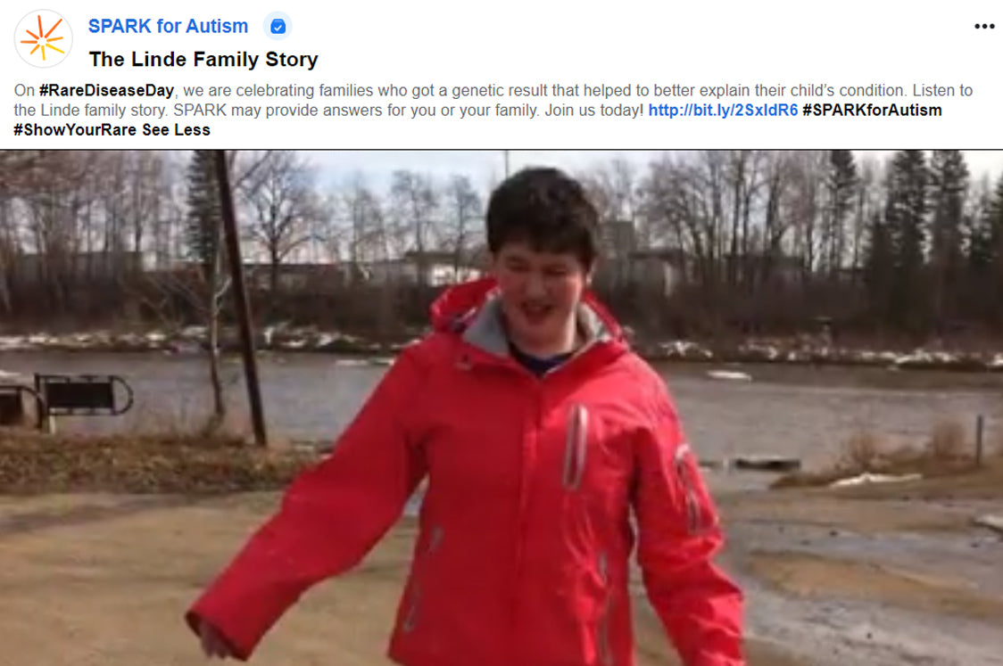 SPARK: The Linde Family Story – The Yellow Brick Road Project